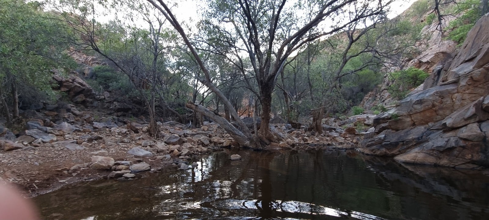 Campfire Healing Indigenous Corporation