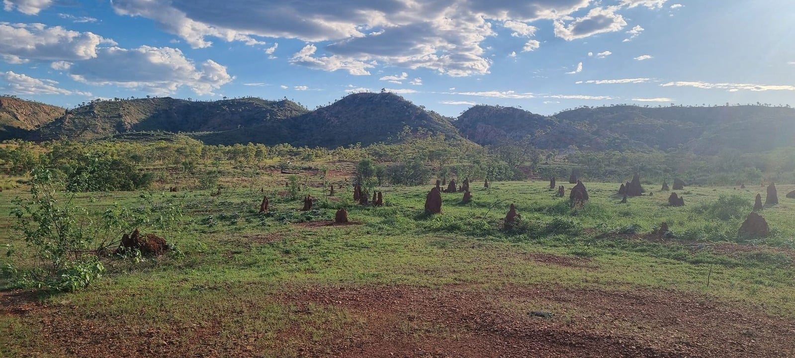Campfire Healing Indigenous Corporation